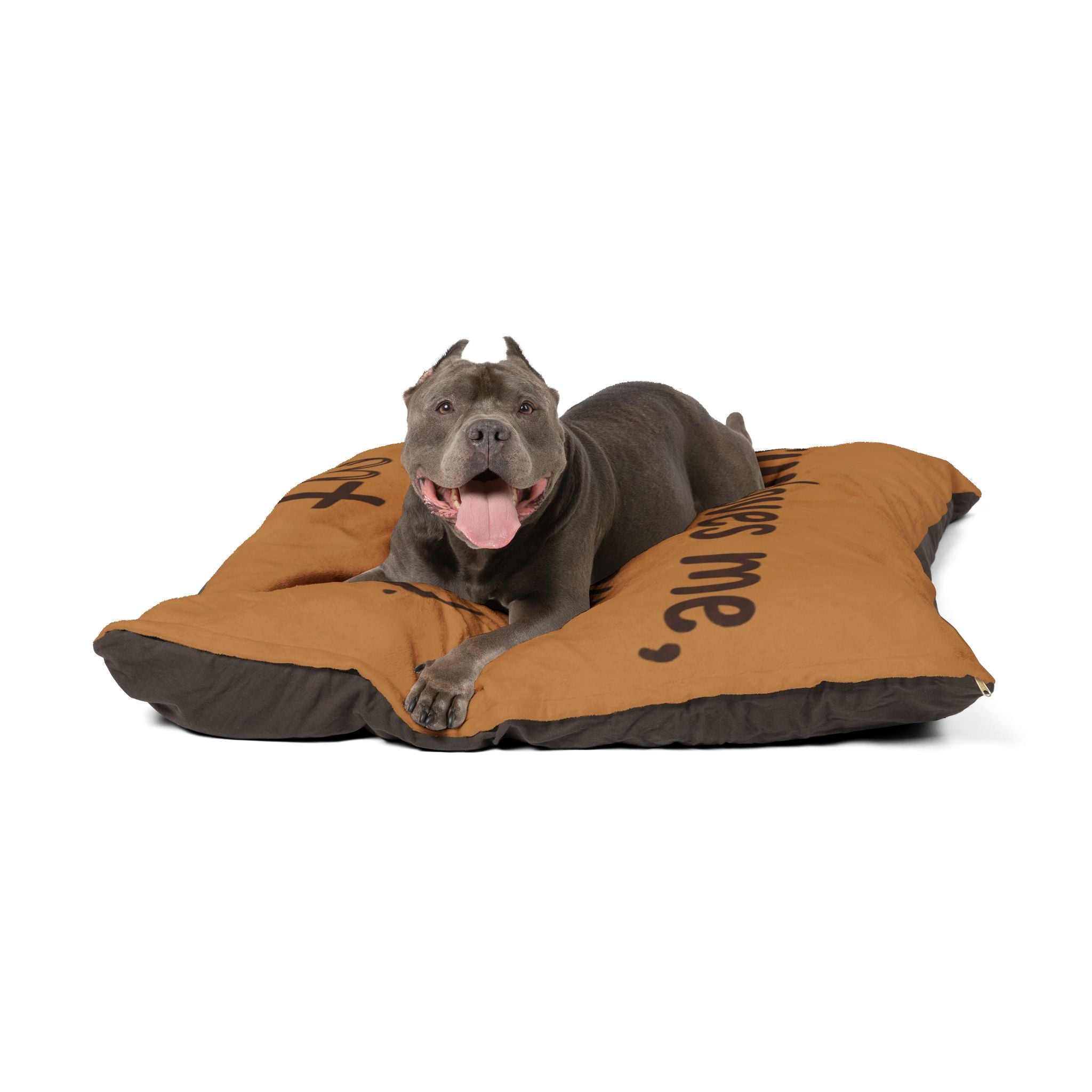 Saved & Stylish Dog Collection